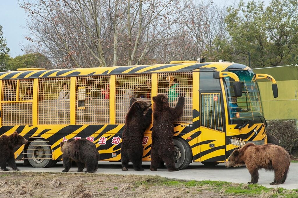 Shanghai Wild Animal Park