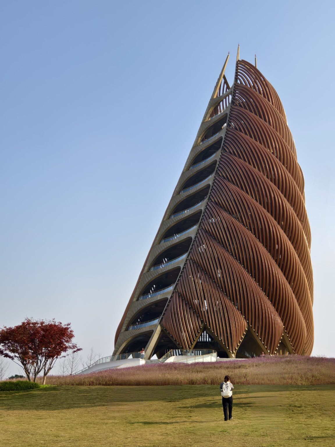 Chengdu Panda Base Guide: Tickets, Tours & Panda Viewing Tips