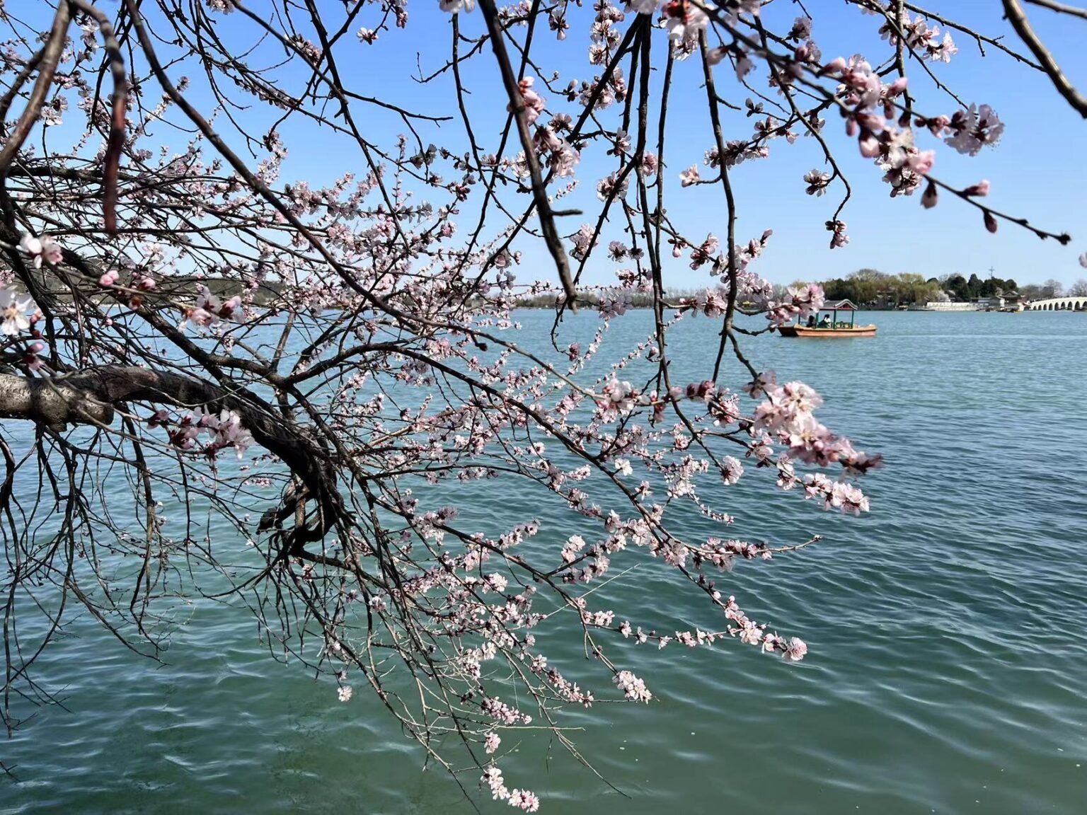 Beijing Climate Guide: Best Seasons to Visit & Packing Tips for All Weather