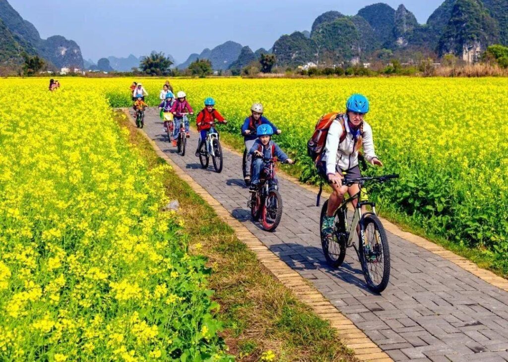 Rivière Li : Croisière de Guilin à Yangshuo, guide scénique et de voyage